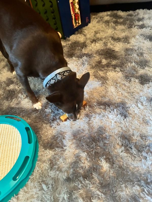 Paw Love Smoked Yak Cheese Dog Treat, Large at Tractor Supply Co