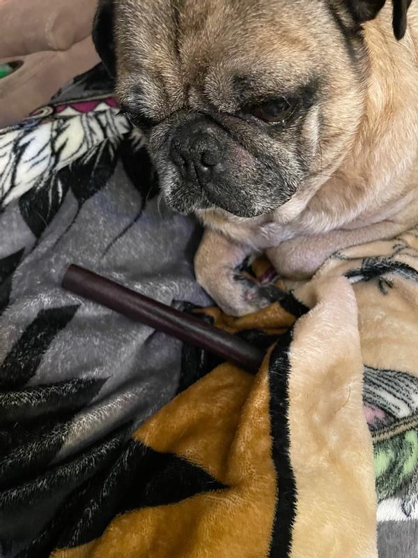 Paw Love 6 in. Smoked Collagen Sticks, 4 ct. at Tractor Supply Co