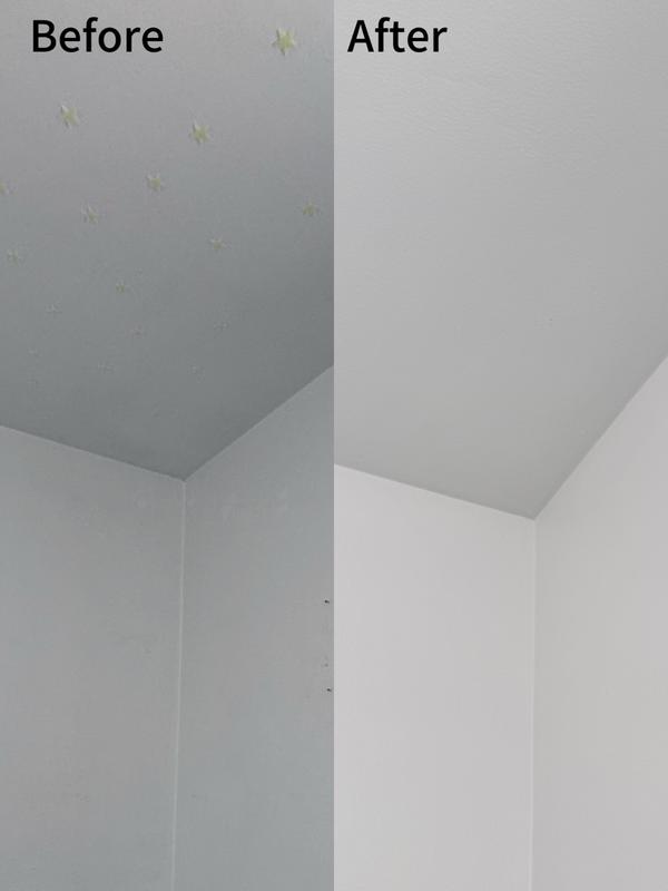 HGTV HOME by Sherwin-Williams Restoration Interior/Exterior High hiding ...