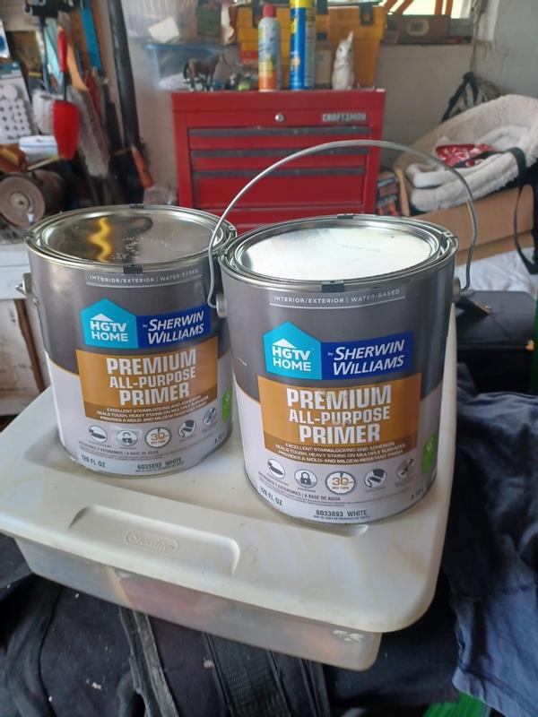 HGTV HOME by Sherwin-Williams All-Purpose Premium Interior/Exterior ...