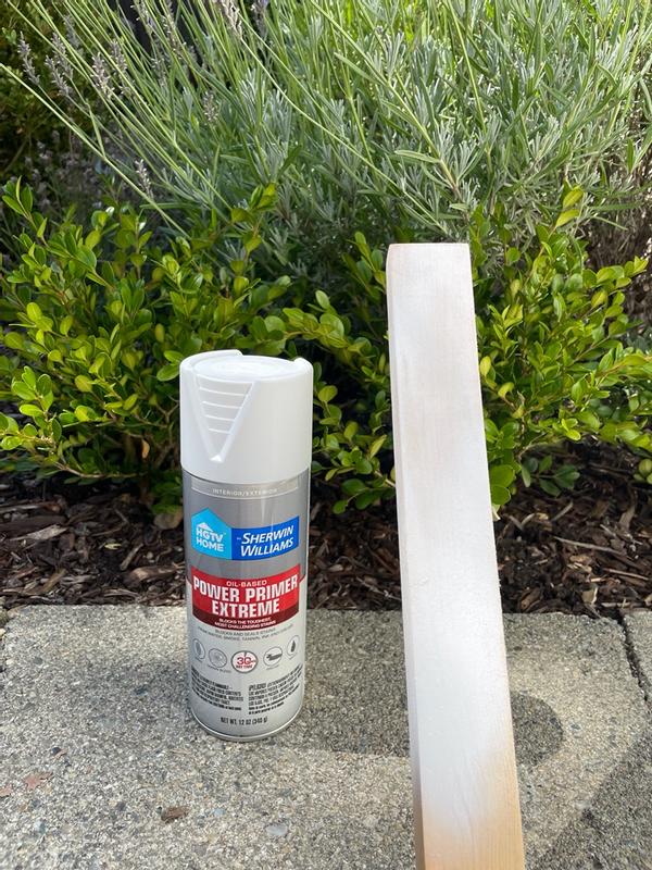 HGTV HOME by Sherwin-Williams Power Interior/Exterior Multi-purpose Oil ...