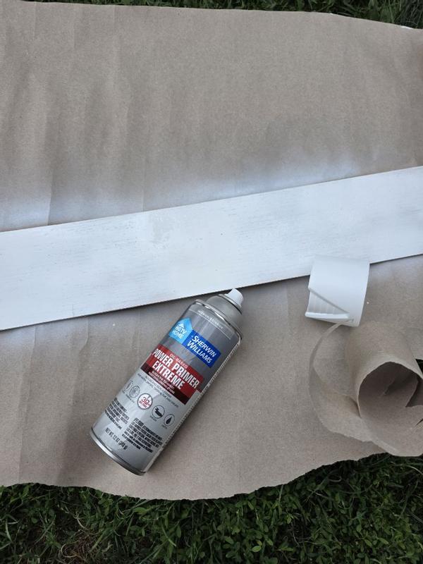 HGTV HOME by Sherwin-Williams Power Interior/Exterior Multi-purpose Oil ...