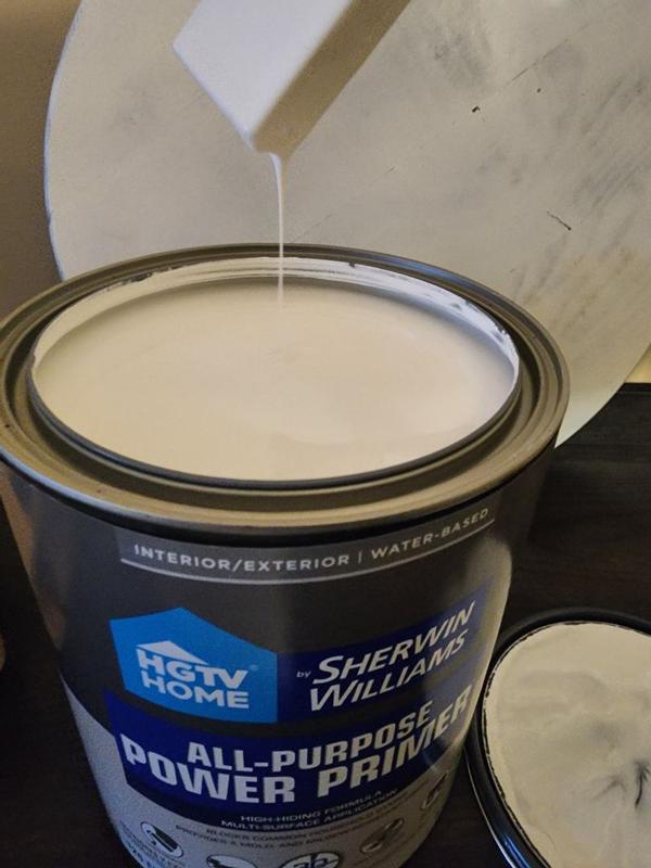 HGTV HOME by Sherwin-Williams All-Purpose Power Interior/Exterior Multi ...