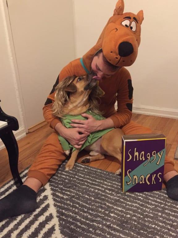 Dog Costume For Adults Adult Shaggy Sheep Dog Costume Pug Costume