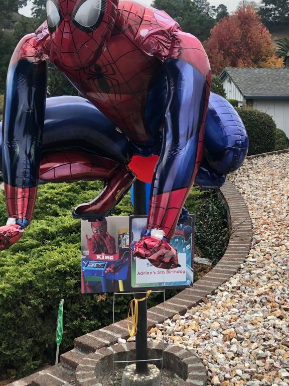 Disney Marvel Spider-Man Satin Foil Balloon, Red/Blue, 29-in, Helium ...