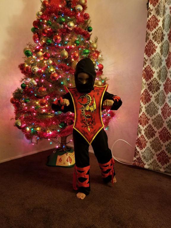 Kids' Ninja Assassin Black/Red Jumpsuit with Mask, Belt, Red Tabard and ...