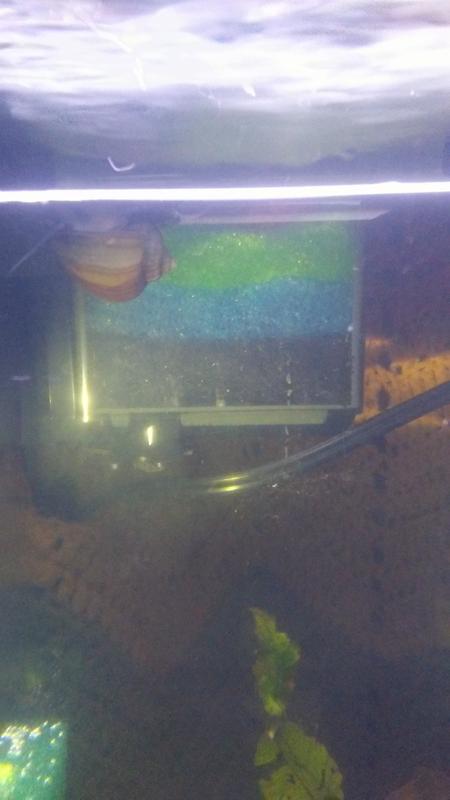 Fluval AquaClear 30 Aquarium Power Filter | Petco