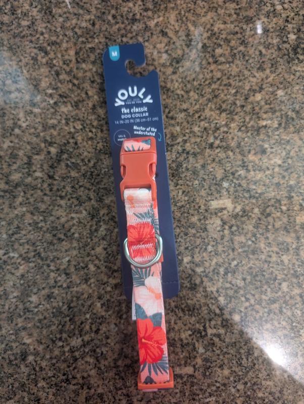 YOULY Hawaiian Dog Collar, X-Small | Petco