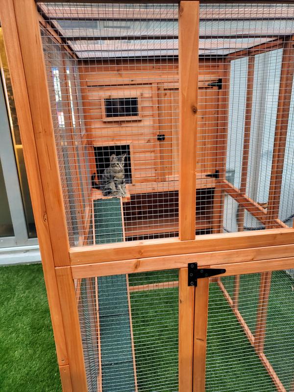 TRIXIE Wooden Outdoor Cat Run, 68.75"H | Petco