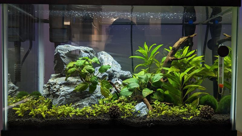 Imagitarium Aquatic Seiryu Rock Kit, 15 lbs. | Petco