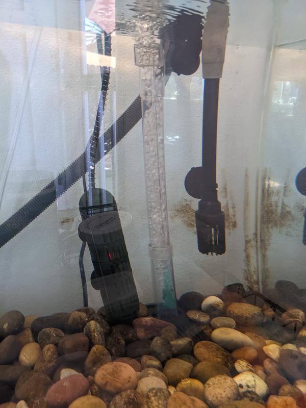 Imagitarium Undergravel Filter, 29 Gallon | Petco