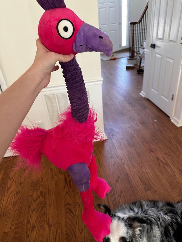 Leaps & Bounds Plush Long-Limbed Bird Dog Toy, X-Large | Petco