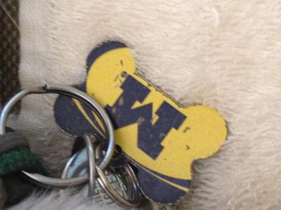 Quick-Tag Michigan Wolverines NCAA Bone Personalized Engraved Pet ID ...