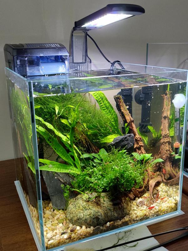Fluval AC20 Power Filter | Petco