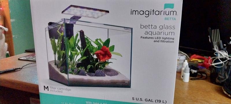 Imagitarium Glass Betta Aquarium Kit, 5 Gallons | Petco