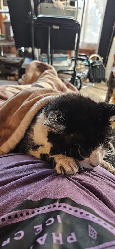 Epogen Injectable Solution, 1 ml Vial | Petco