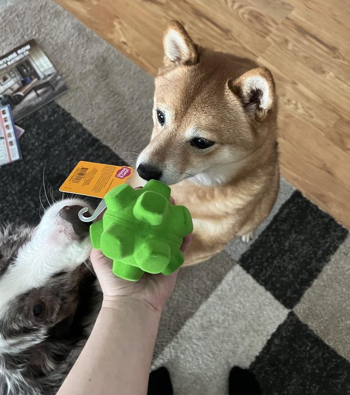 Leaps & Bounds Flocked Ball with Nubs Assorted Color Dog Toy, Small | Petco