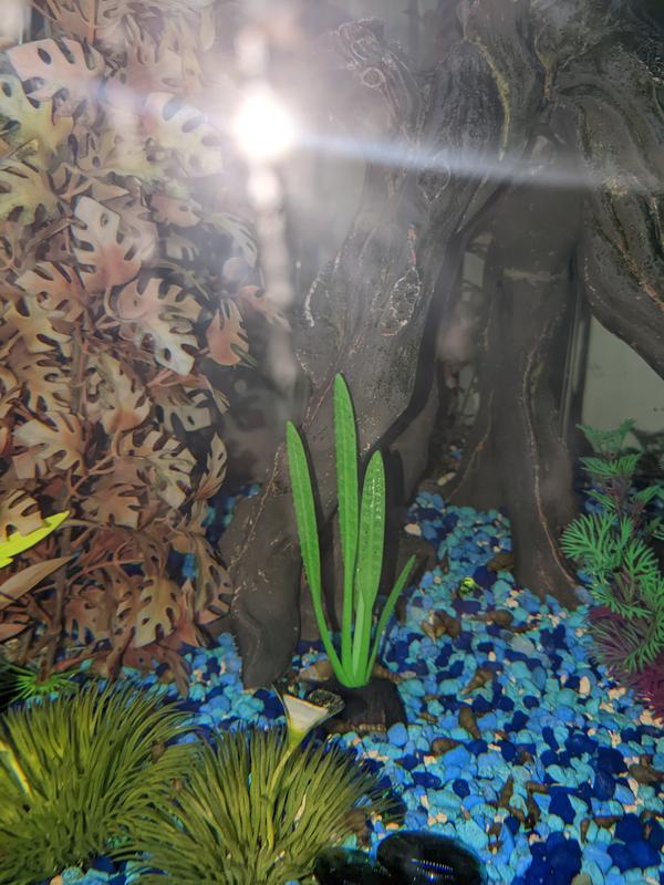 Imagitarium Red & Orange Silicone Seaweed & Fern Aquarium Plant | Petco
