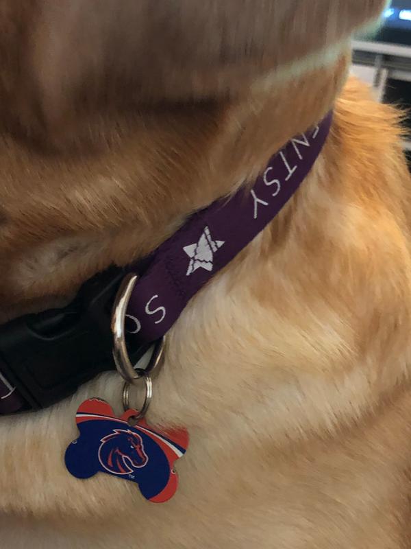 Quick-Tag Boise State NCAA Bone Personalized Engraved Pet ID Tag, 1 1/2 ...