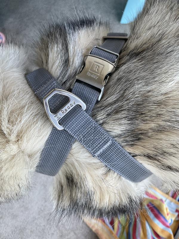 Reddy Grey Reflective Dog Harness, Medium | Petco