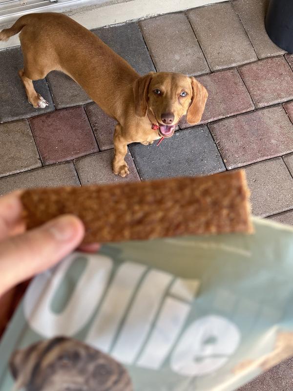 Ollie Chicken & Apple Jerky Strips Dog Treats, 5 oz. | Petco