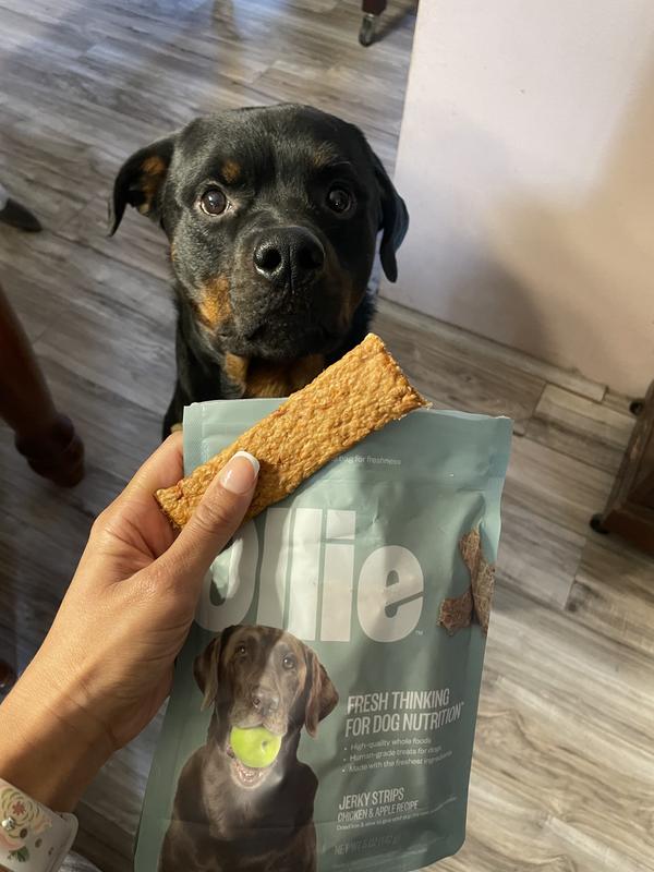Ollie Chicken & Apple Jerky Strips Dog Treats, 5 oz. | Petco