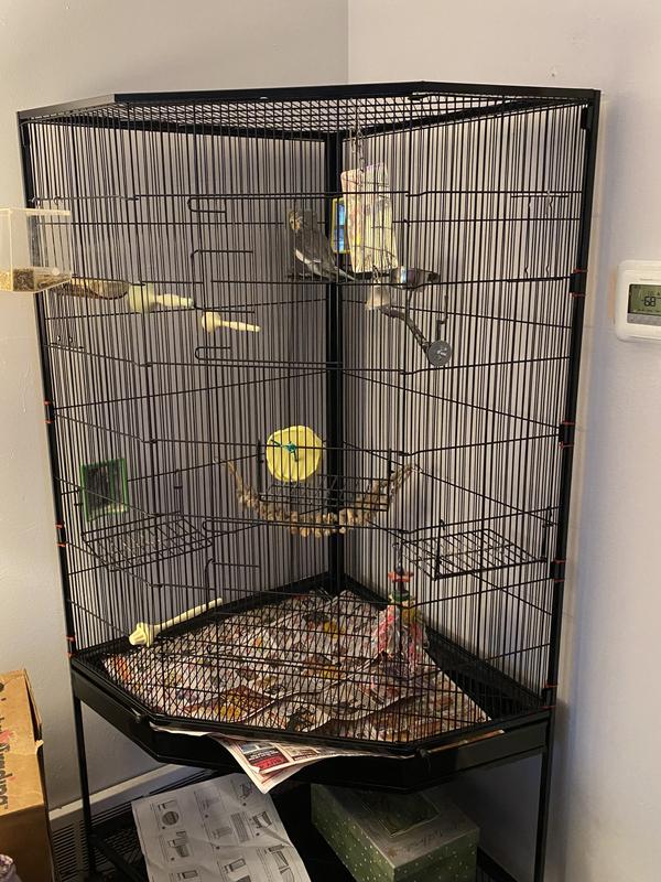 You & Me Cockatiel Corner Cage, 36.5" L x 24" W x 39.25" H | Petco