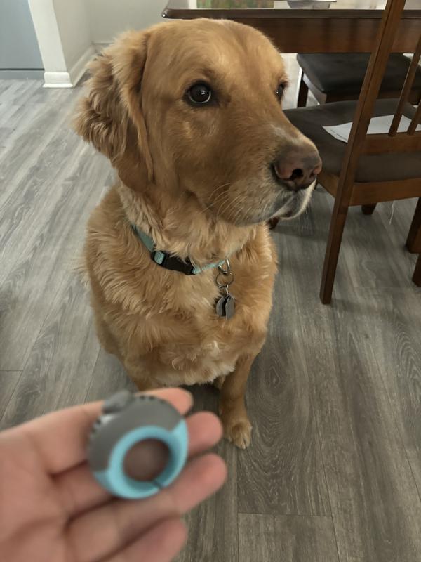 EveryYay Dog Training Clicker Ring, Small | Petco