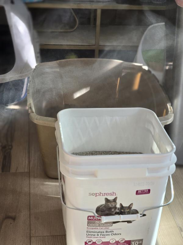 So Phresh Dual Odor Guard Scoopable Cat Litter, 30 lbs. | Petco