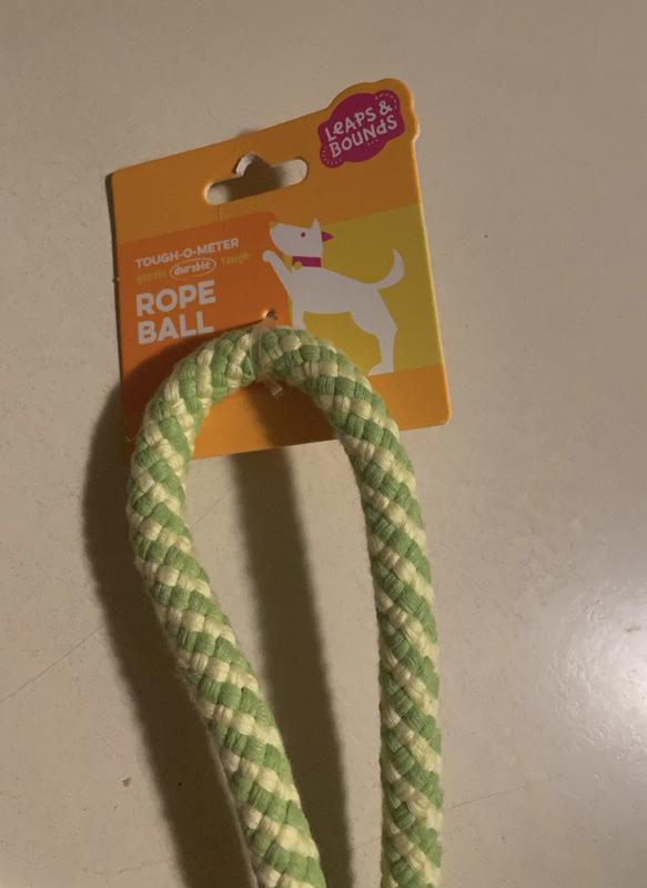 Leaps & Bounds Rubber Bone & Rope Dog Toy, Medium | Petco