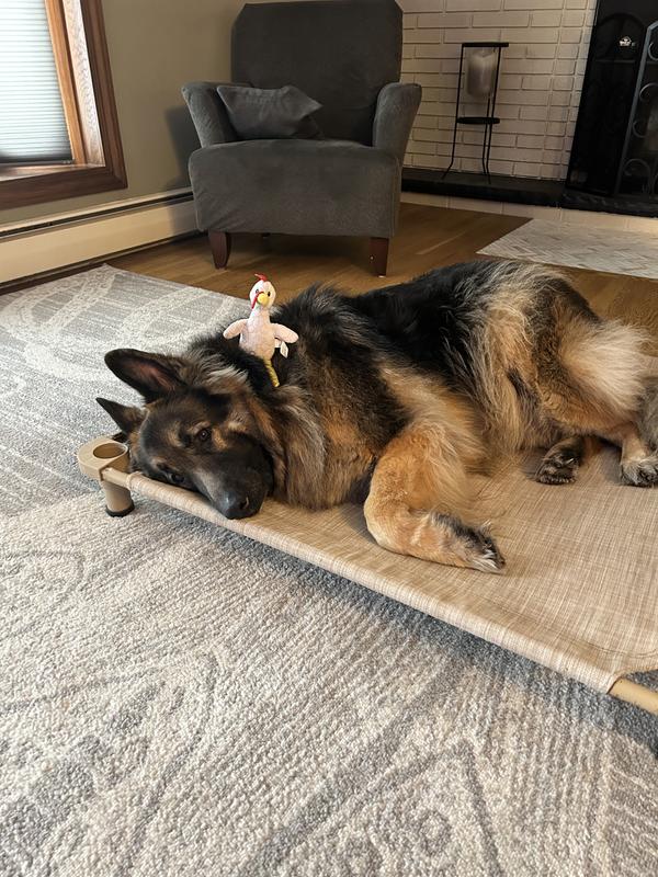 Leaps & Bounds Durable Tough Chicken Chew Toy for Dogs