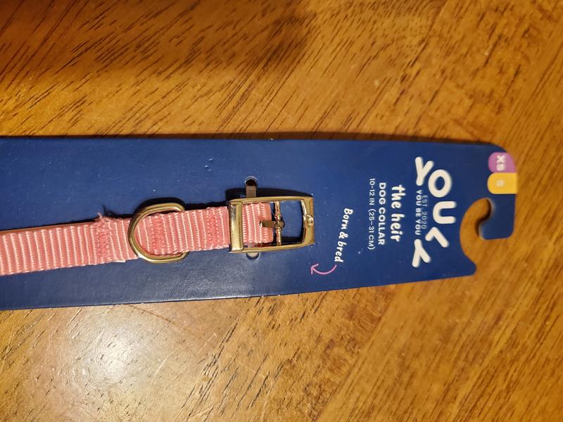 YOULY Medium Black Bling Dog Collar with Skulls & Studs