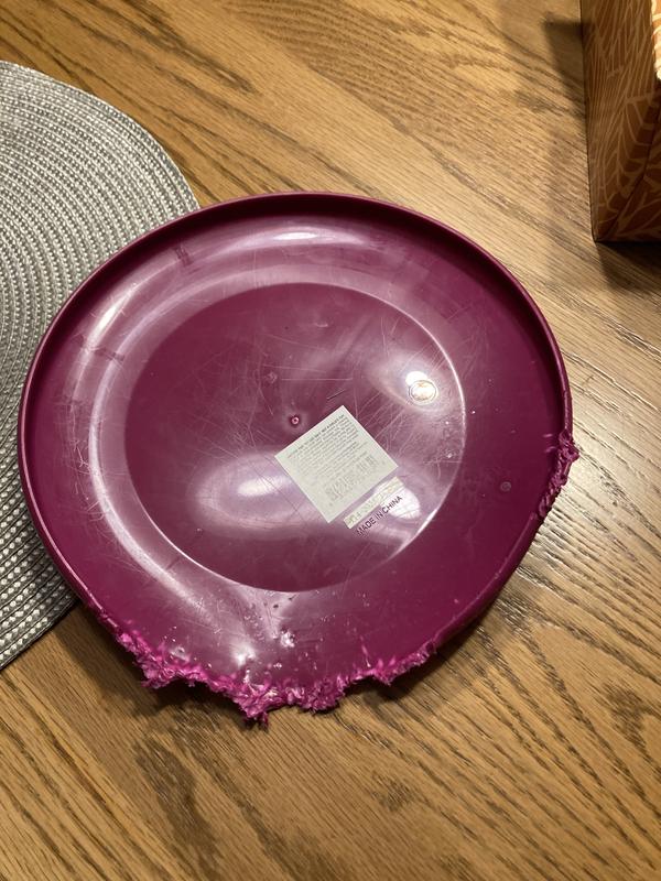 Petco Flyer in Assorted Colors, Medium | Petco