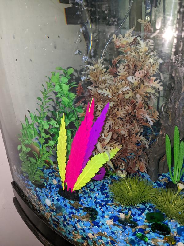 Imagitarium Red & Orange Silicone Seaweed & Fern Aquarium Plant | Petco