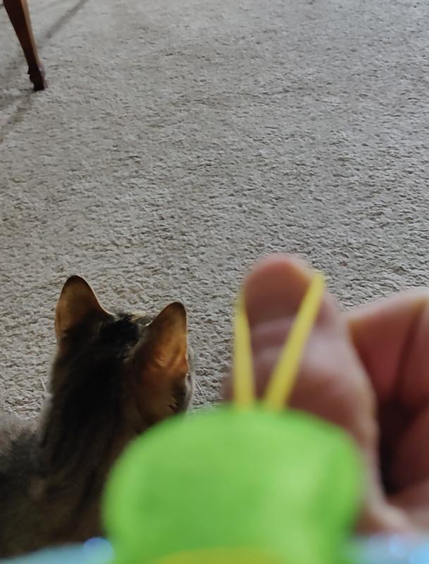 Leaps & Bounds Dragonfly Catnip Flinger Toy, XS