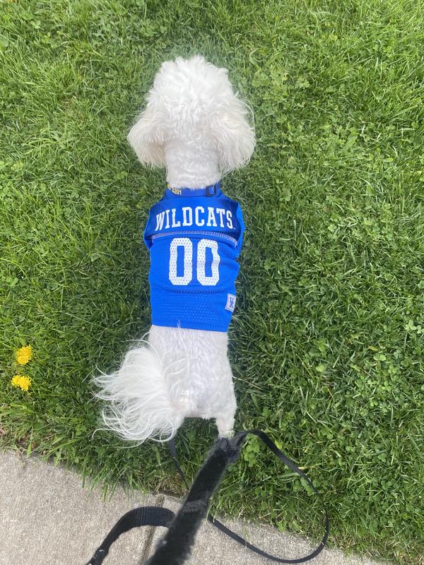 Pets First NCAA SEC Mesh Jersey for Dogs, Large, Georgia | Petco