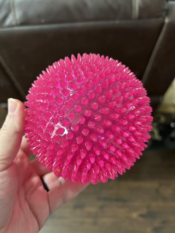 Leaps & Bounds Spiny Ball Assorted Dog Chew Toy, Small | Petco