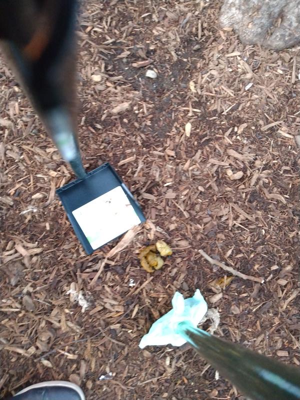 So Phresh Small Spade & Scoop Set for Dog Waste Cleanup