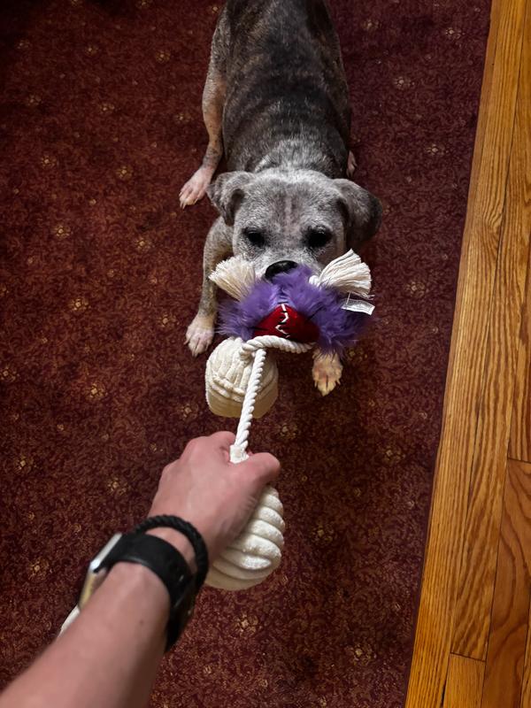 Bootique Voodoo Doll Plush Rope Dog Toy, Medium | Petco