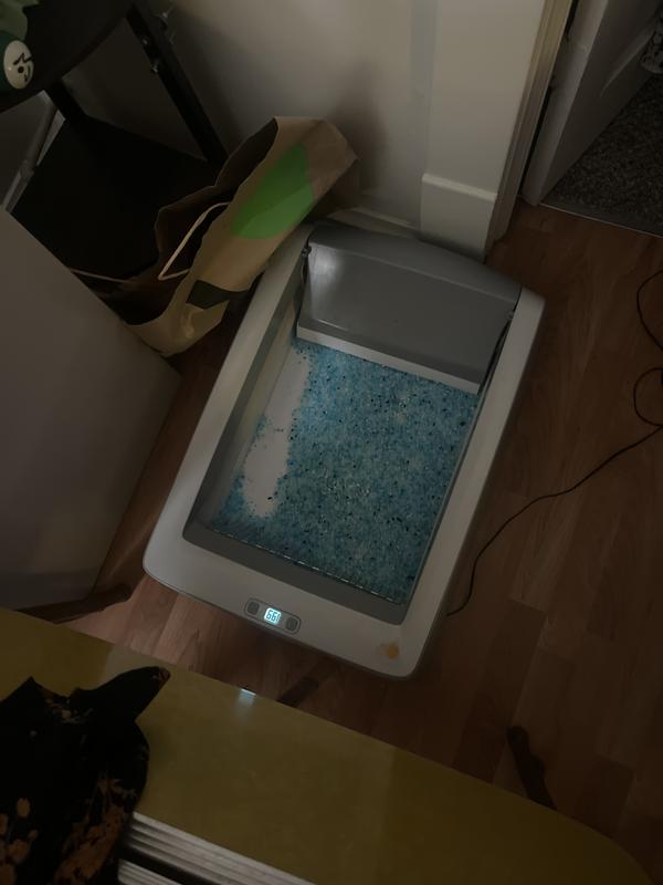 ScoopFree Crystal Classic Self-Cleaning Litter Box, Large | Petco