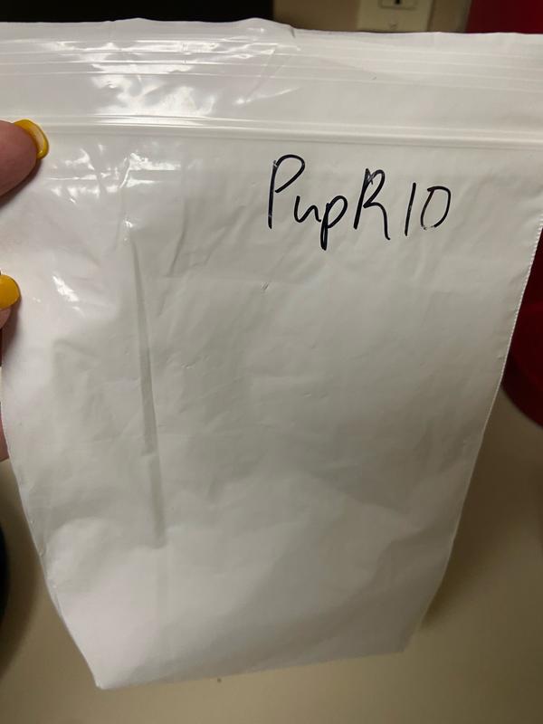 Frozen Pup Rat, Count of 10 | Petco