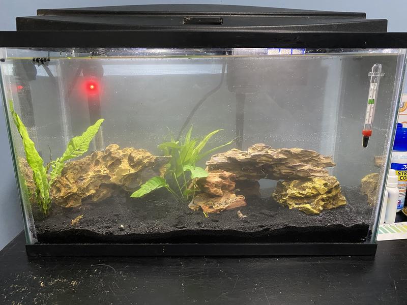 Aqueon QuietFlow LED PRO 10 Aquarium Power Filter | Petco