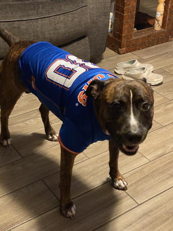 Pets First NCAA SEC Mesh Jersey for Dogs, Large, Georgia | Petco