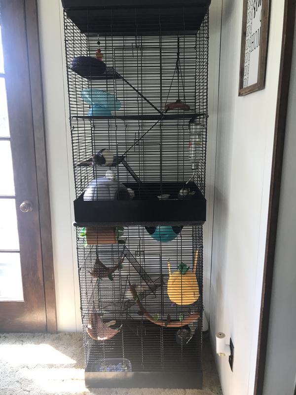 You & Me Rat Manor Habitat, 16.5" L X 22.5" W X 32" H | Petco