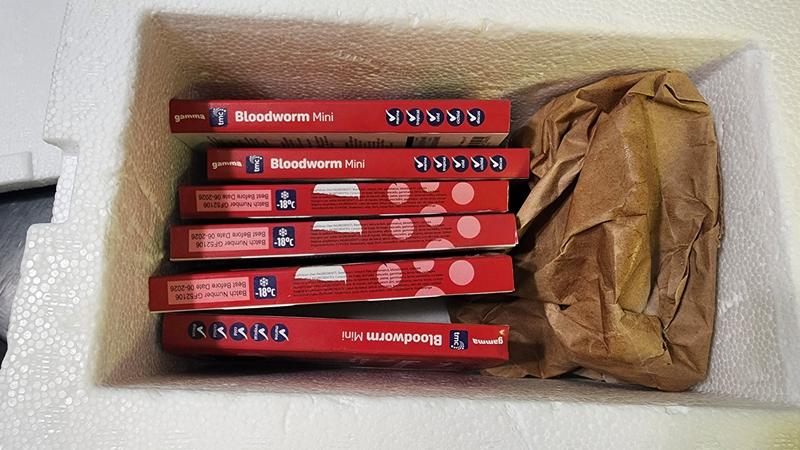 Tropical Marine Centre Gamma Frozen Food Mini Bloodworm Blister Pack ...