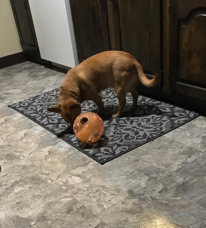 Leaps & Bounds Little Chews Treat Dispenser Ball Puppy Toy, Small | Petco