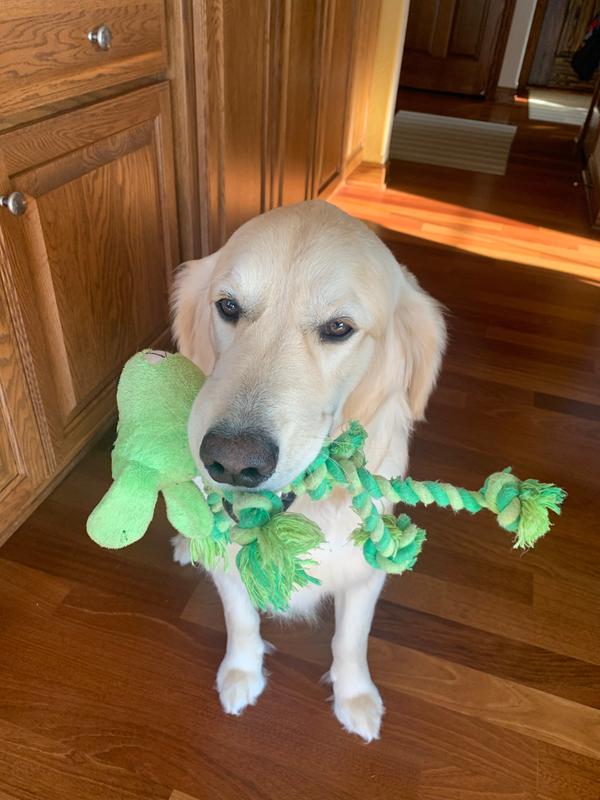 Multipet Loofa Rope Body Assorted Colors Dog Toy | Petco