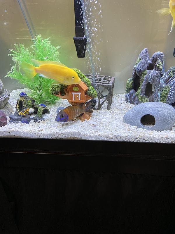 Imagitarium Resin Treehouse Decor, Small | Petco