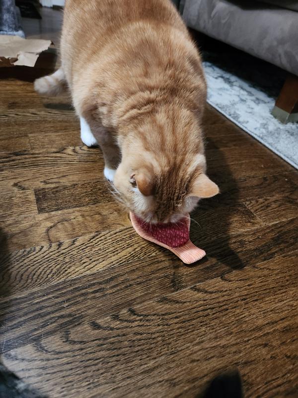 Leaps & Bounds Flatty Fish Cat Toy, X-Small | Petco