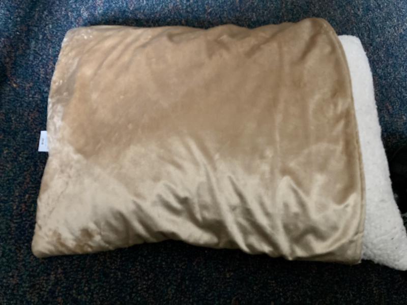 EveryYay Snooze Fest Pillow Pocket Dog Bed 24 L X 18 W Petco